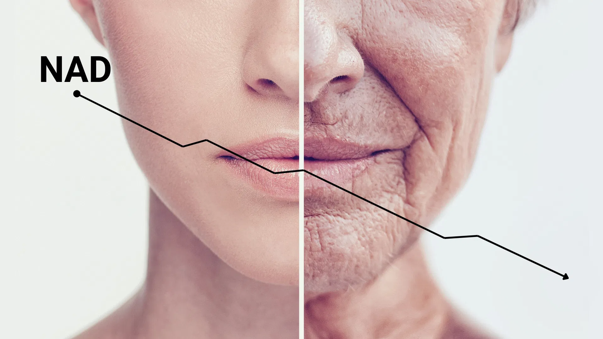 Kulit Kusam Meski Skincare Maksimal? Ini Peran NAD yang Perlu Kamu Tahu ...